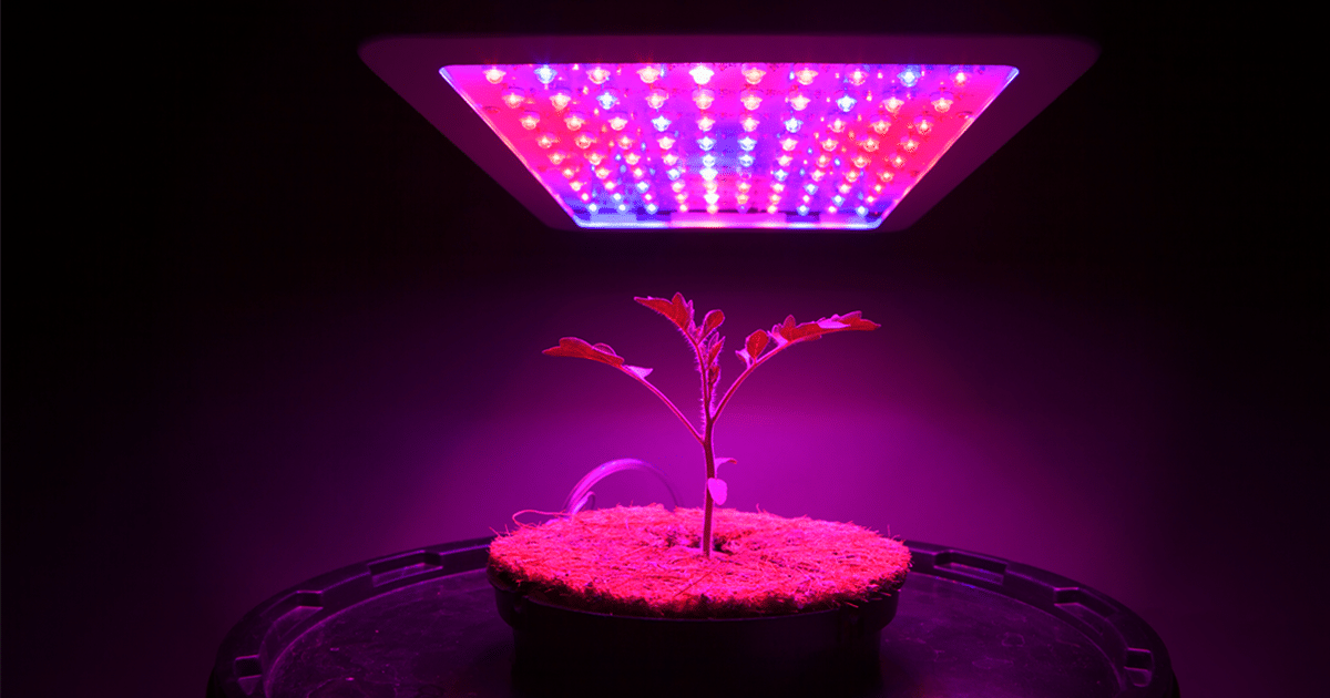 Your challenges - Quanza